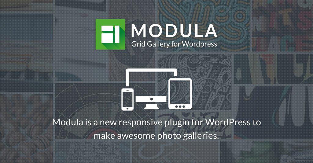 Modula Grid Gallery for WordPress » Best Creative Grid Gallery Modula Grid Gallery for WordPress