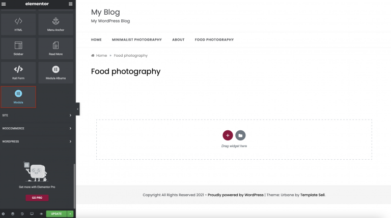 How To Add A Photo Gallery In Elementor Using Modula
