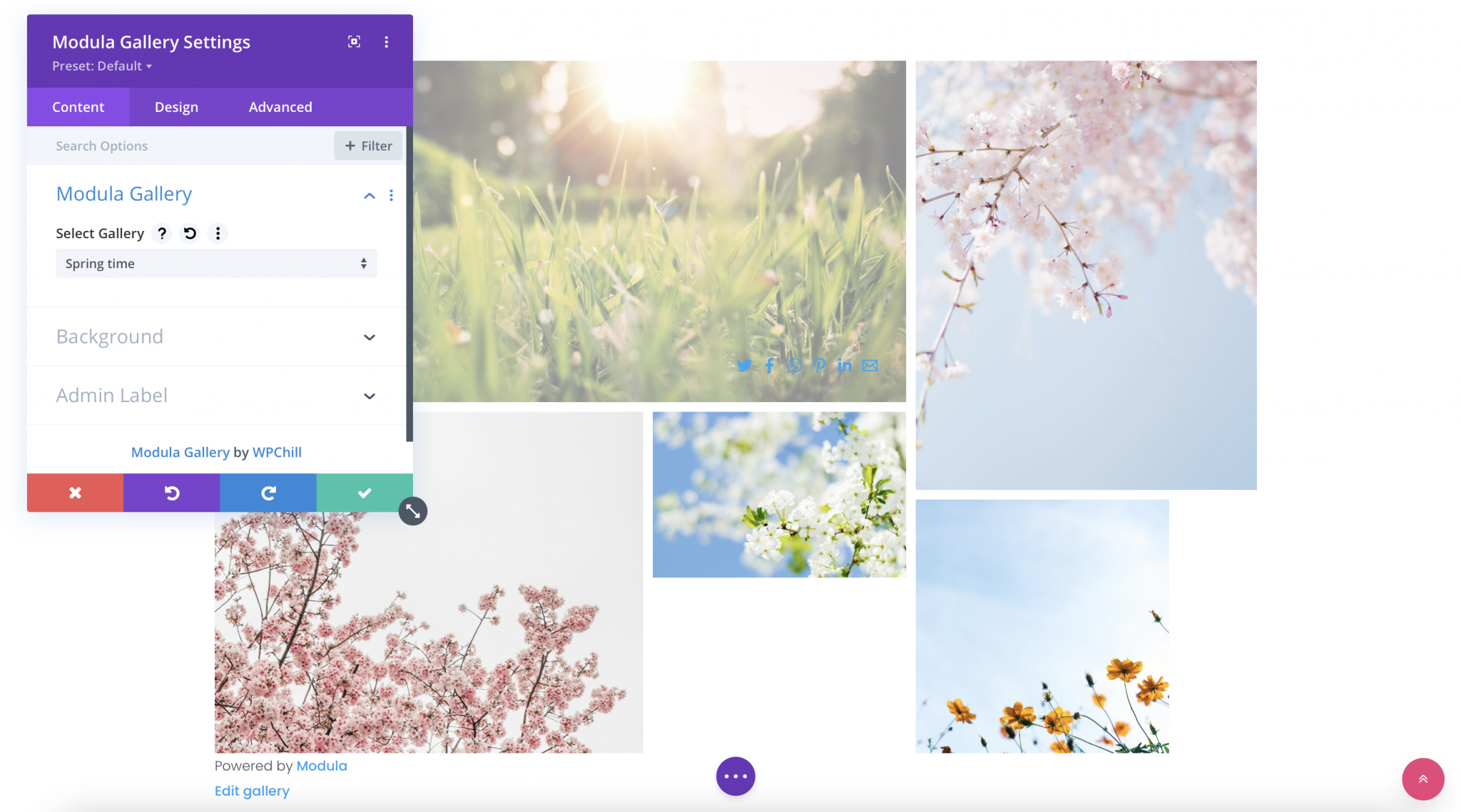 Easily Create Stunning Photo & Video Galleries with Divi + Modula