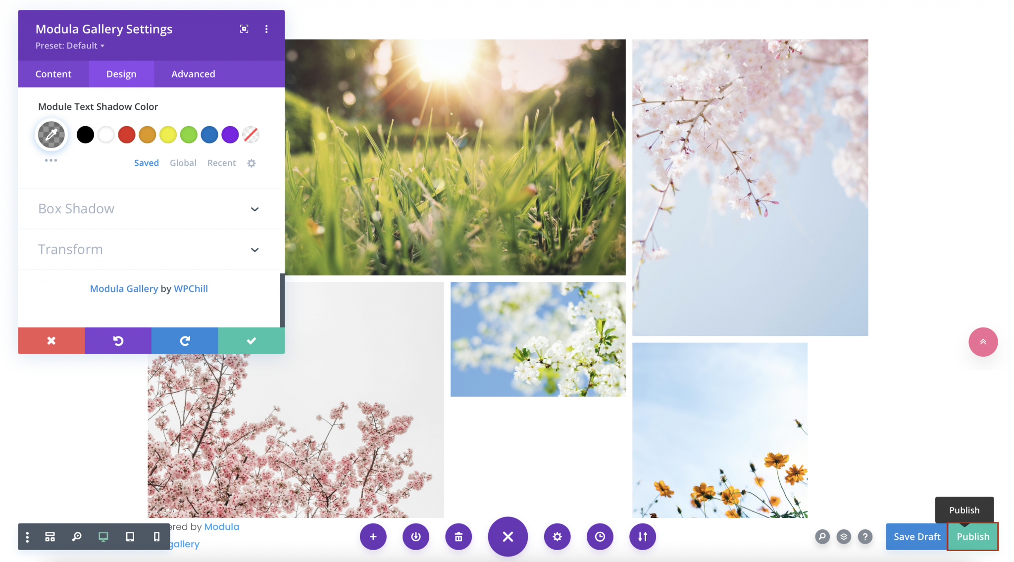 Easily Create Stunning Photo & Video Galleries with Divi + Modula