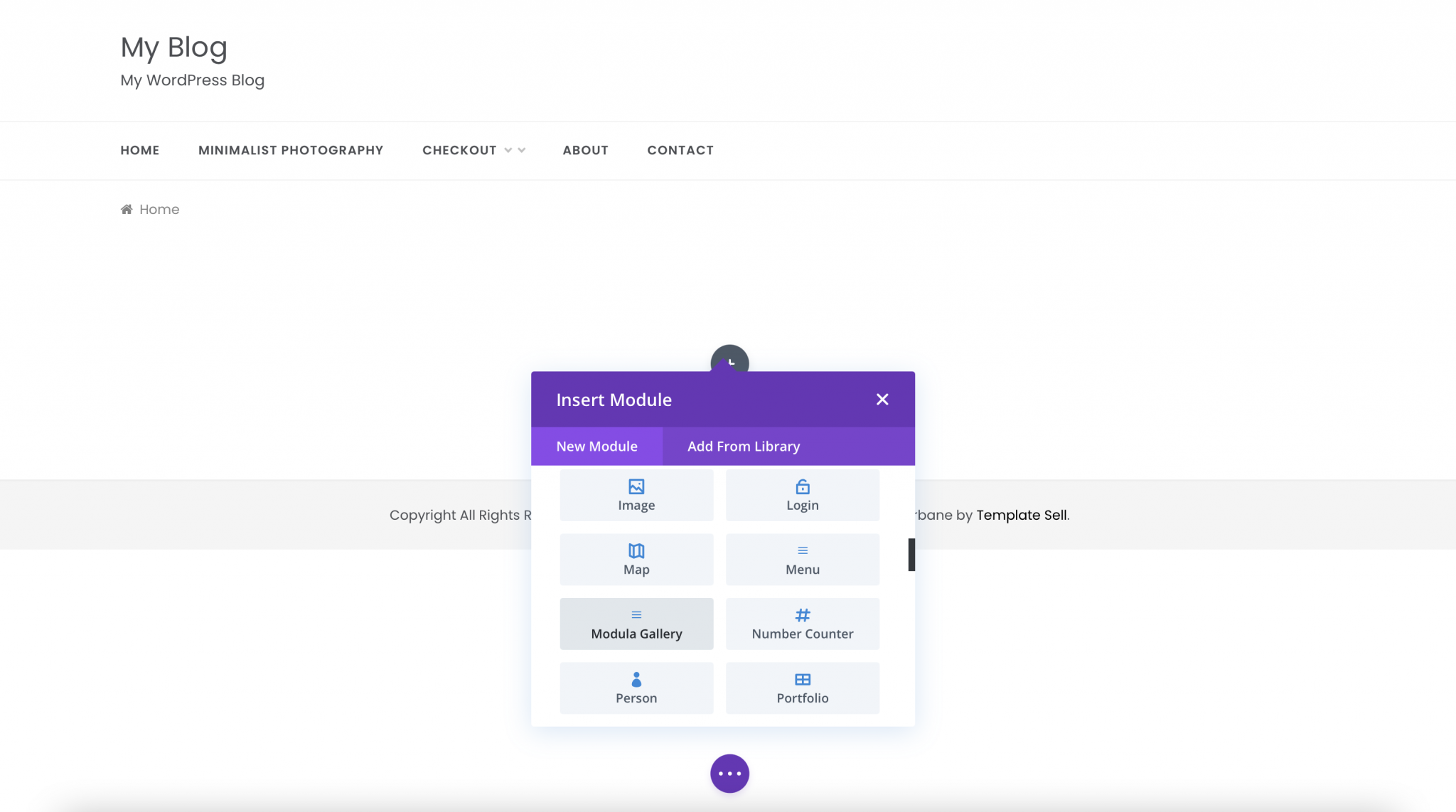 Easily Create Stunning Photo & Video Galleries with Divi + Modula
