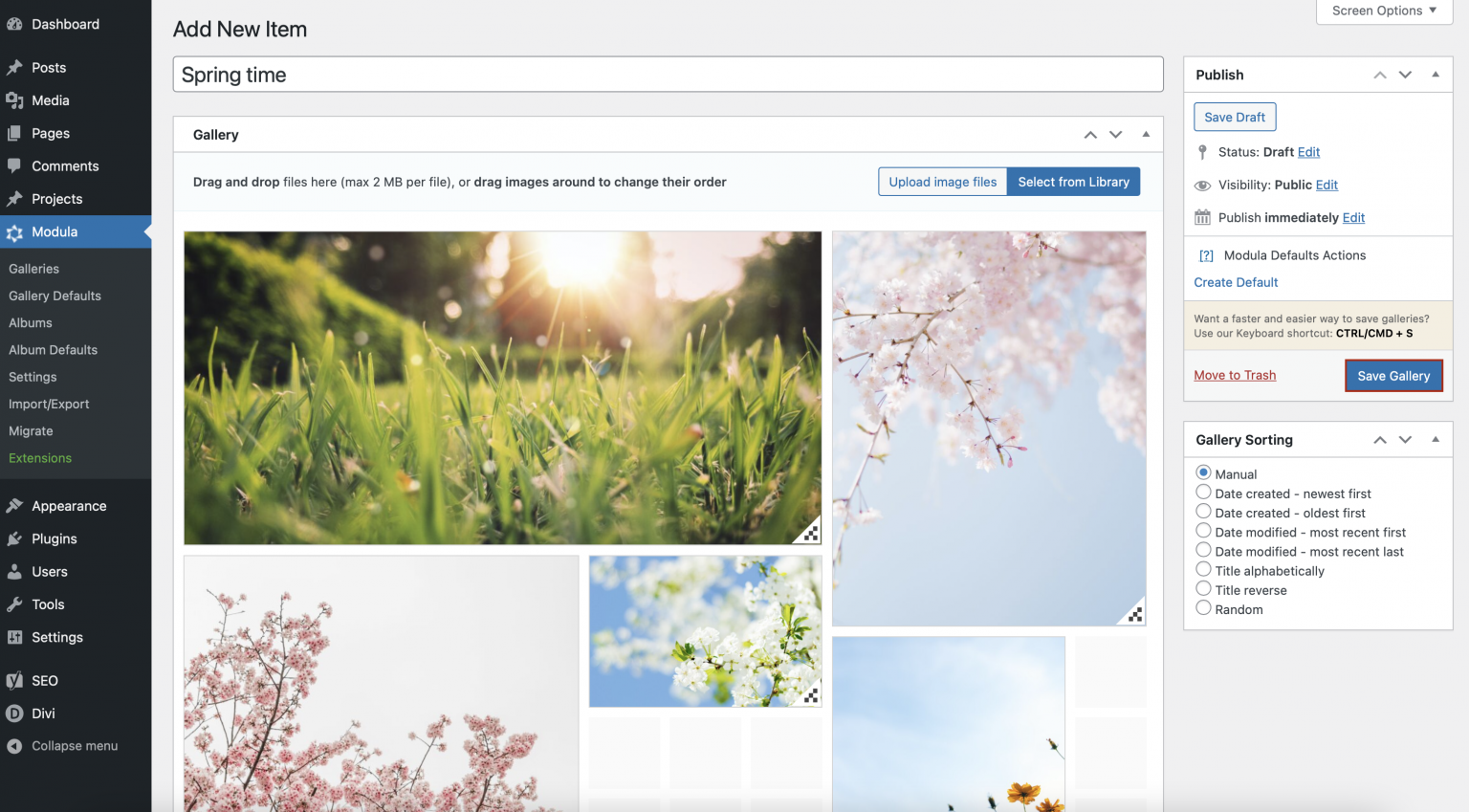 Easily Create Stunning Photo & Video Galleries with Divi + Modula