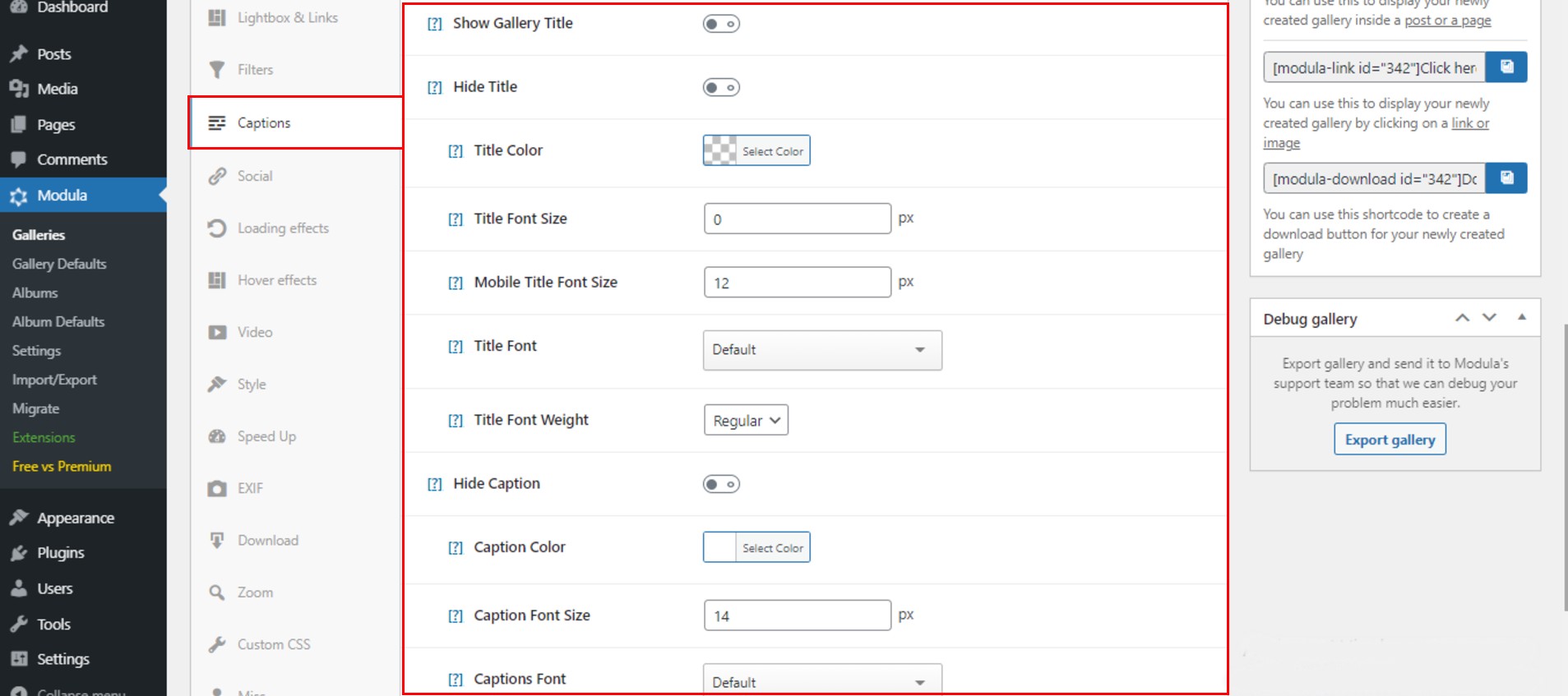 Modula Lite: Features and Limitations