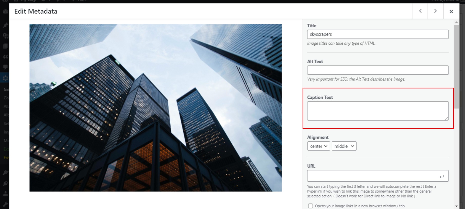 How to edit your image and video gallery's title and captions in WordPress