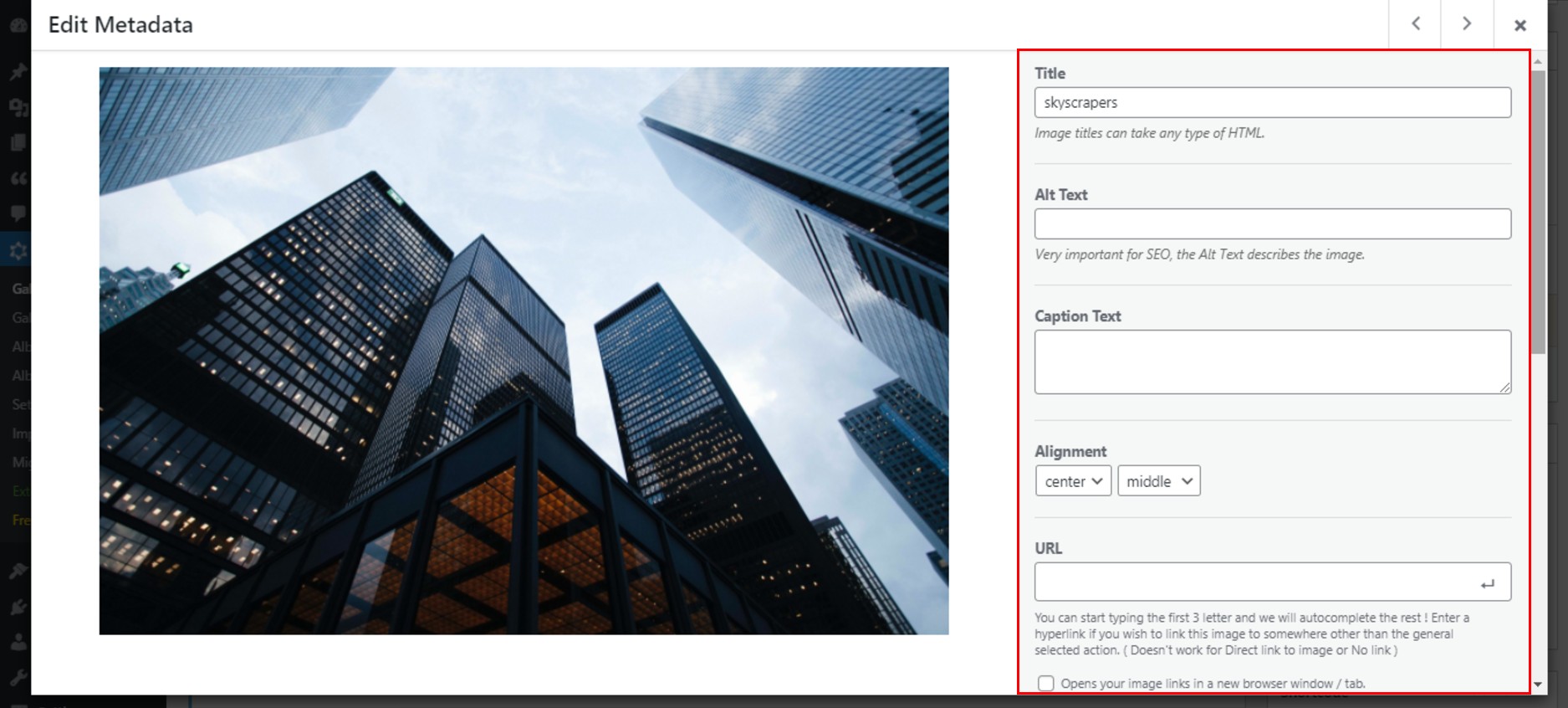 How to edit your image and video gallery's title and captions in WordPress