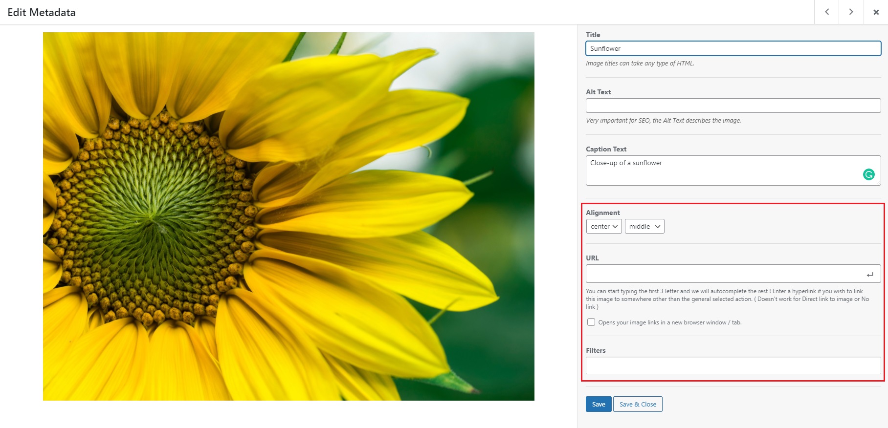 How To Create A WordPress Image Gallery With Captions