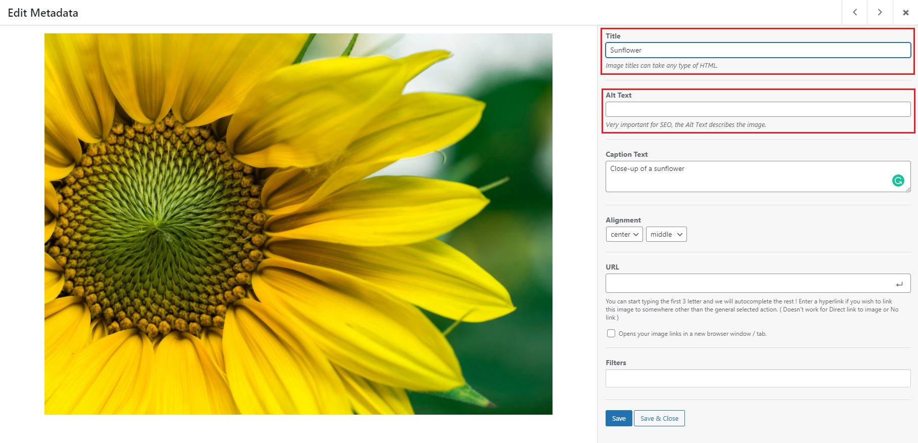 How To Create A WordPress Image Gallery With Captions