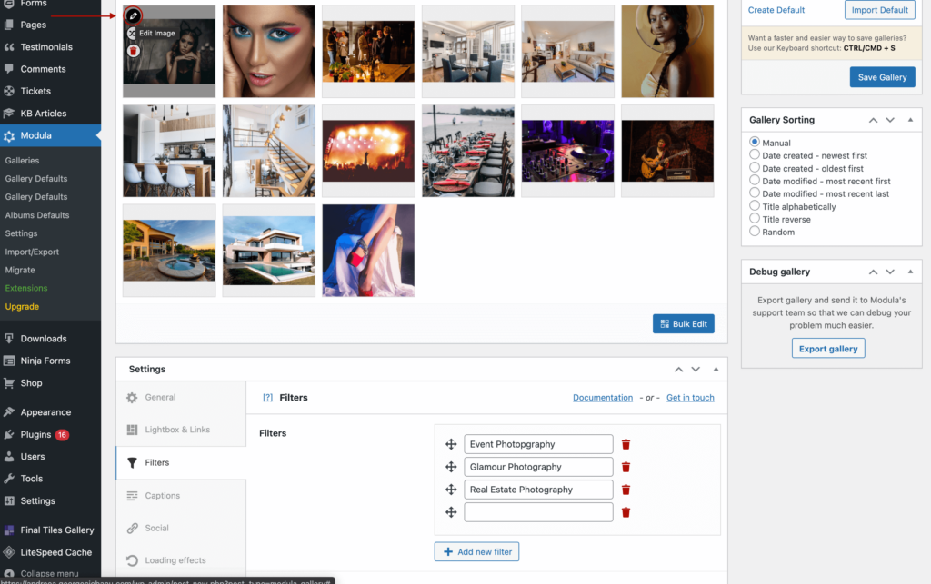 How To Filter Your Image/Video Portfolio By Category In WordPress (Using Modula Gallery)