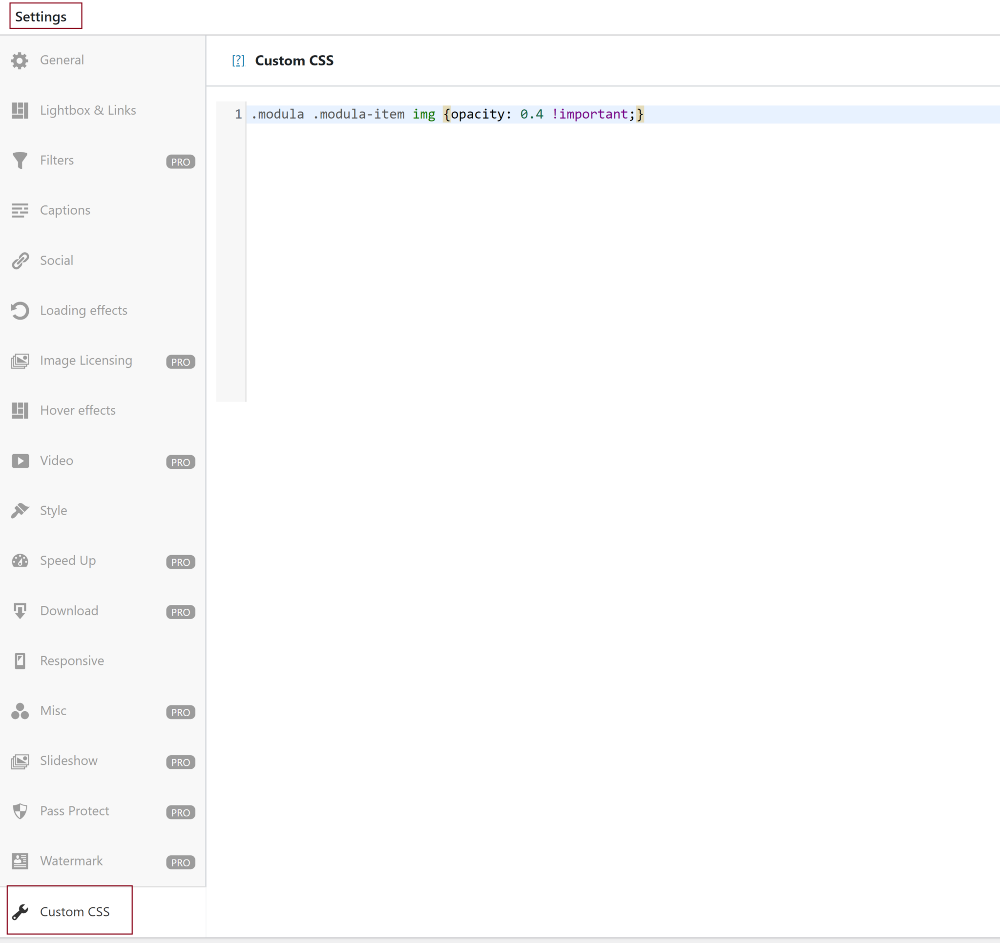 Leveraging Custom CSS for Modula Galleries