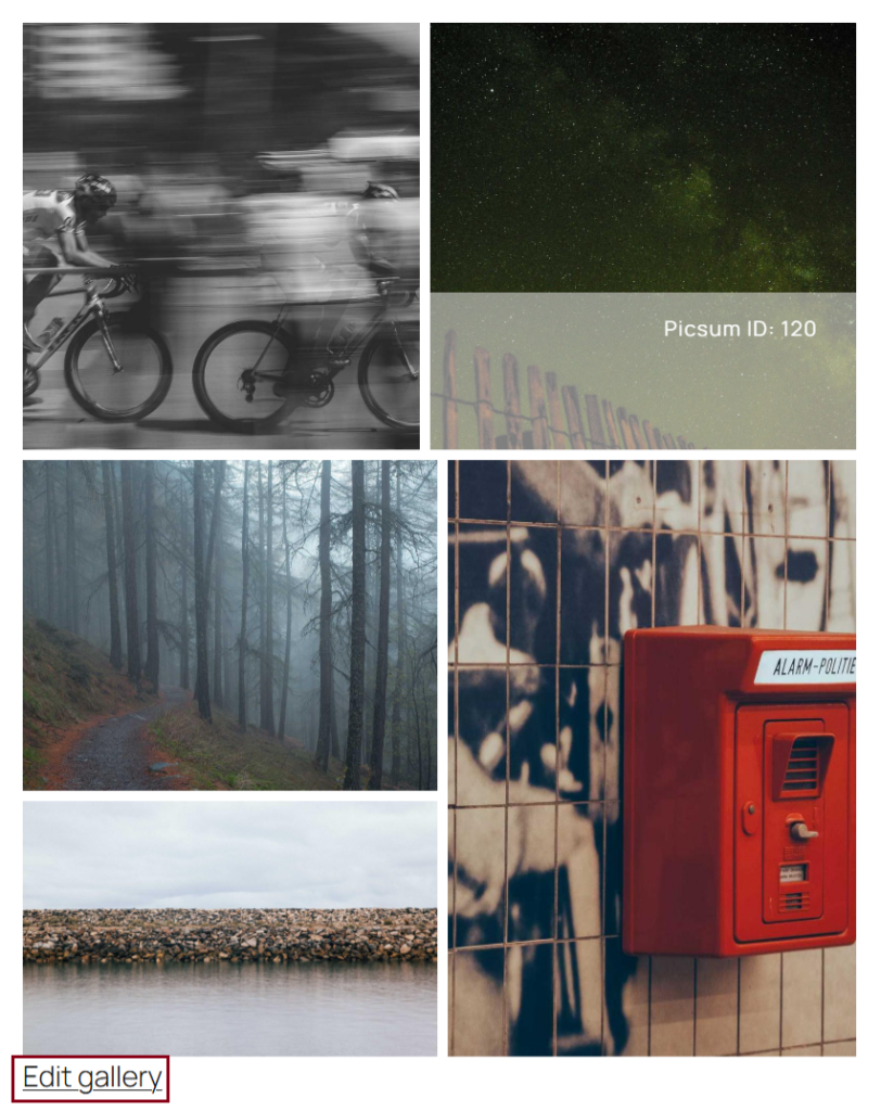 How to remove the ‘Edit Gallery’ link on the front end? – Modula