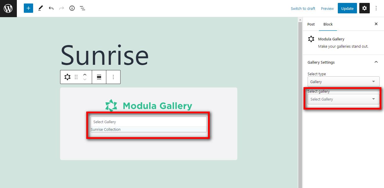 How To Create Engaging Image Galleries with Captions Using Modula