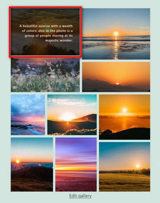 How To Create Engaging Image Galleries with Captions Using Modula