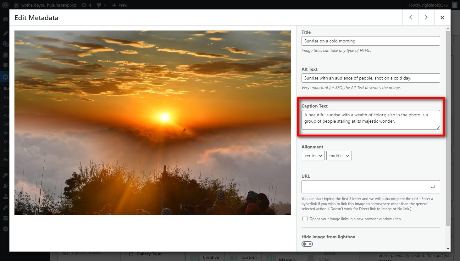 How To Create Engaging Image Galleries with Captions Using Modula