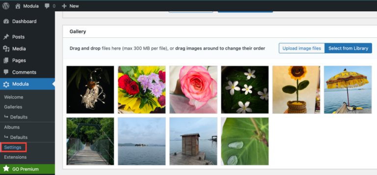 A Comprehensive Guide to Image Licensing in Modula Galleries